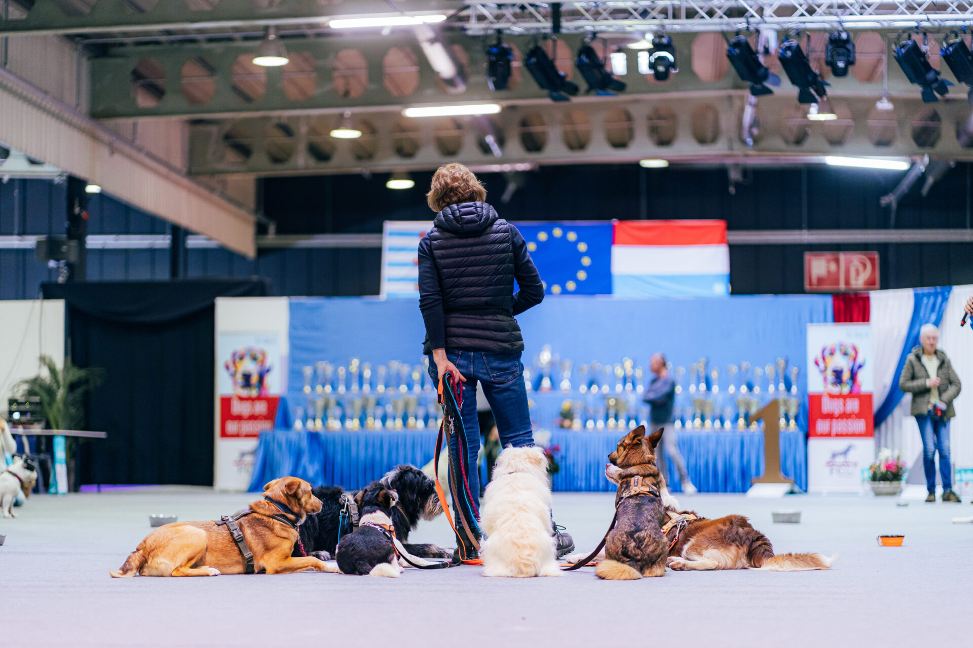 111th & 112th International Dog Shows @ LUXEXPO THEBOX